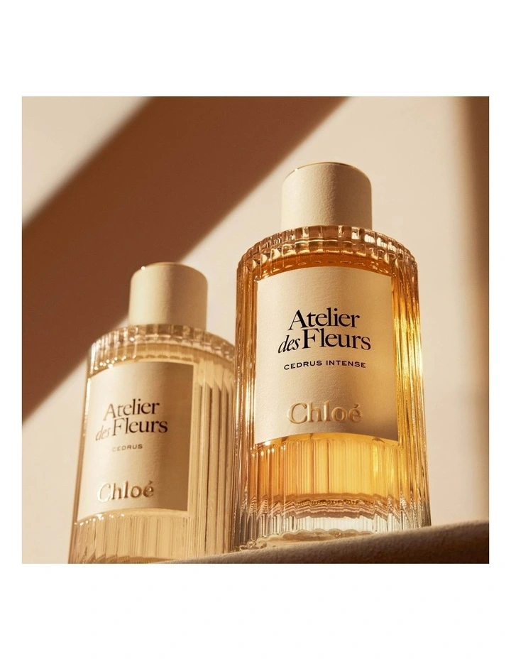 CHLOÉ Atelier Des Fleurs Cedrus Eau De Parfum | MYER