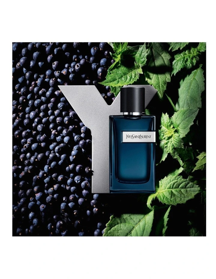Yves Saint Laurent Y Eau De Parfum Intense | MYER