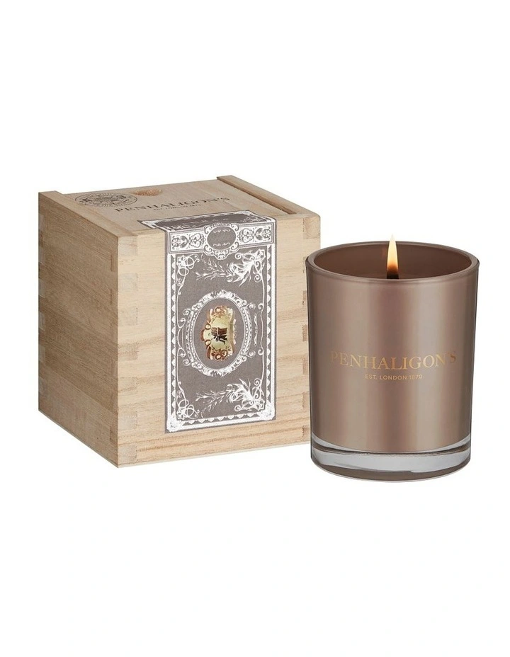 Penhaligon's Anbar Stone Medium Candle 200g in Brown | MYER