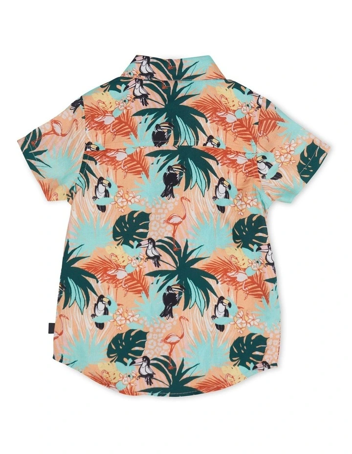 Animal Crackers Rio Shirt (Sizes 0-3) In Print | MYER