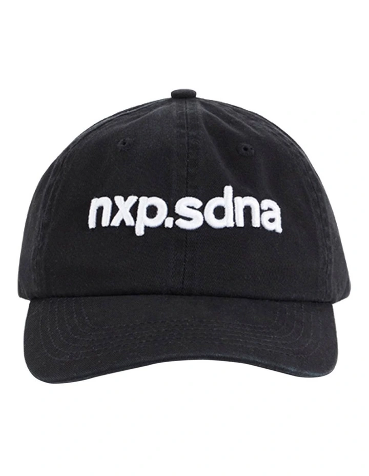 Nena & Pasadena Fixture Dad Cap in Black | MYER