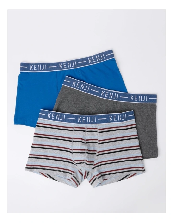 Kenji 3 Pack Stripe Trunks in Multi | MYER
