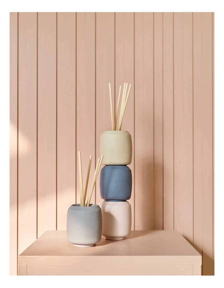 Robert Gordon Life On Earth Puk Diffuser with White Tea Scented Sticks ...