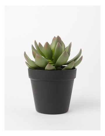 Vue Small Rubber Artificial Plant 45cm in Green | MYER
