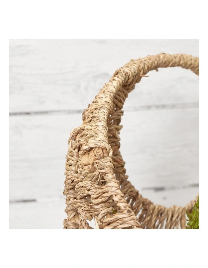 Cooper & Co Set of 2 Hart Wall Plant Holder in Natural | MYER