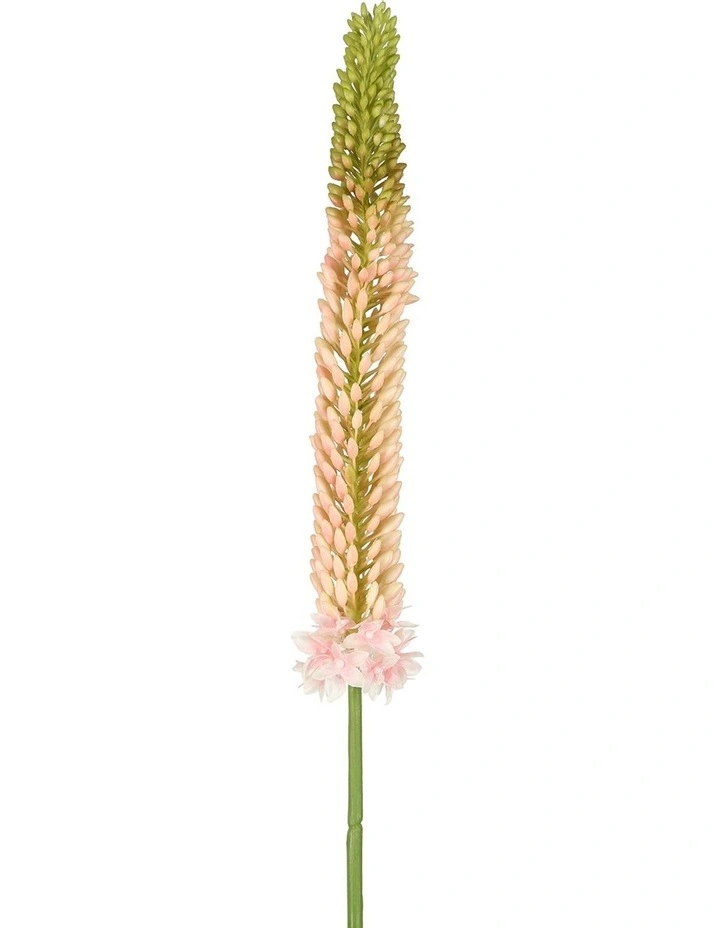 Florabelle Fox Tail Stem 84cm in Pink | MYER