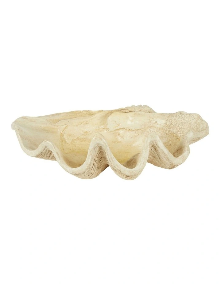 Florabelle Giant Clam Sculpture 64cm in Natural | MYER