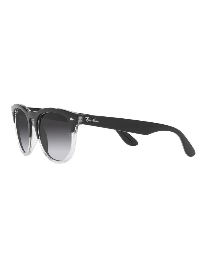 Ray-Ban IRIS Sunglasses In Black | MYER