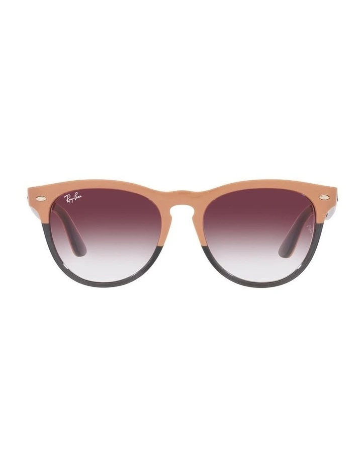 Ray-Ban IRIS Sunglasses In Beige | MYER