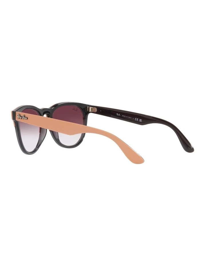 Ray-Ban IRIS Sunglasses In Beige | MYER