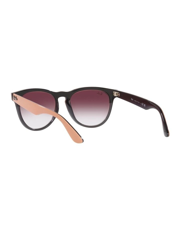 Ray-Ban IRIS Sunglasses In Beige | MYER