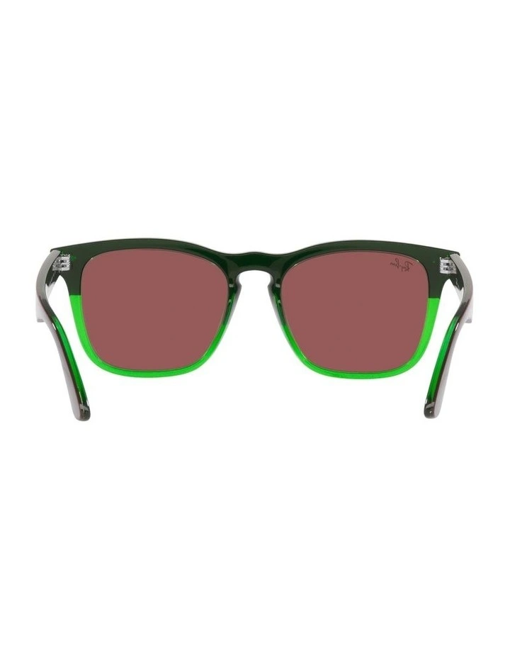 Ray-Ban STEVE Sunglasses In Dark Brown | MYER