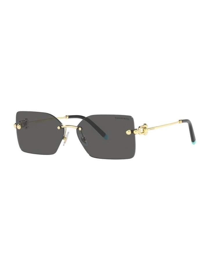 Tiffany & Co. 0TF3088 Sunglasses in Pale Gold | MYER