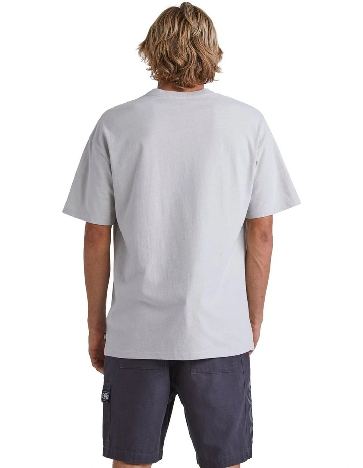 Quiksilver Acid Eyes T-shirt in Gray Violet | MYER