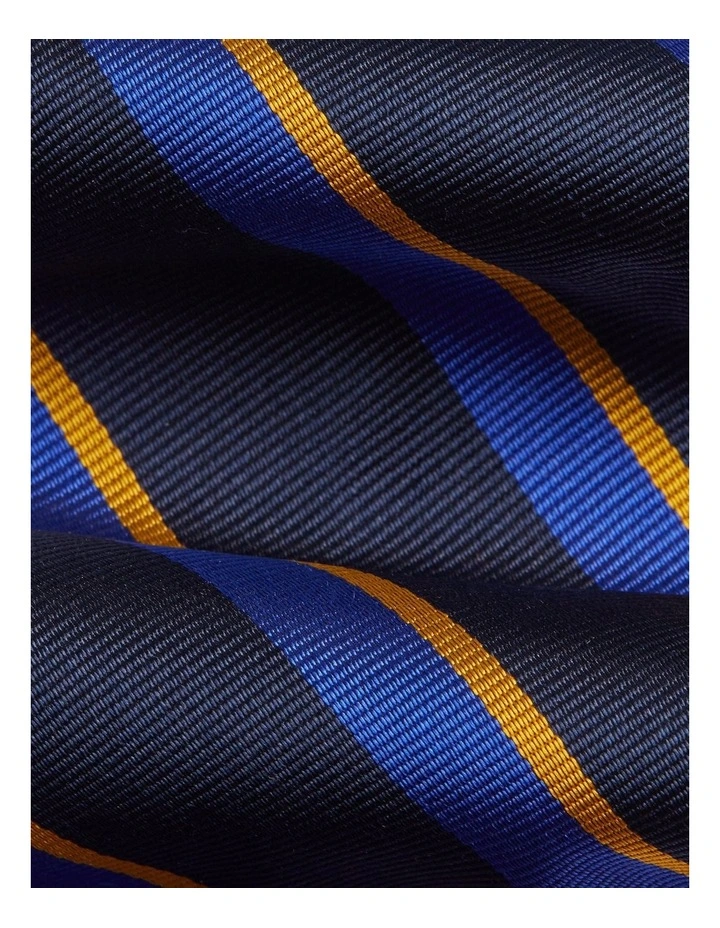 Polo Ralph Lauren Striped Silk Repp Tie in Navy | MYER