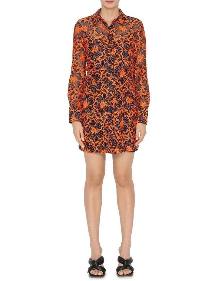Cue Contrast Floral Lace Shirt Dress in Mandarin Orange | MYER