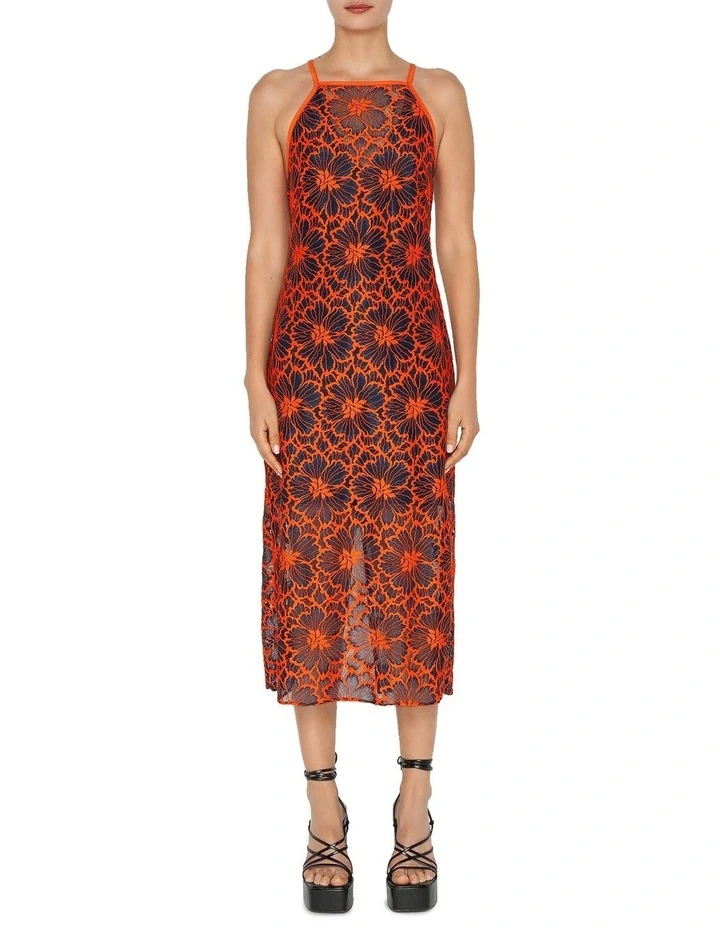 Cue Contrast Floral Lace Dress in Mandarin Orange | MYER