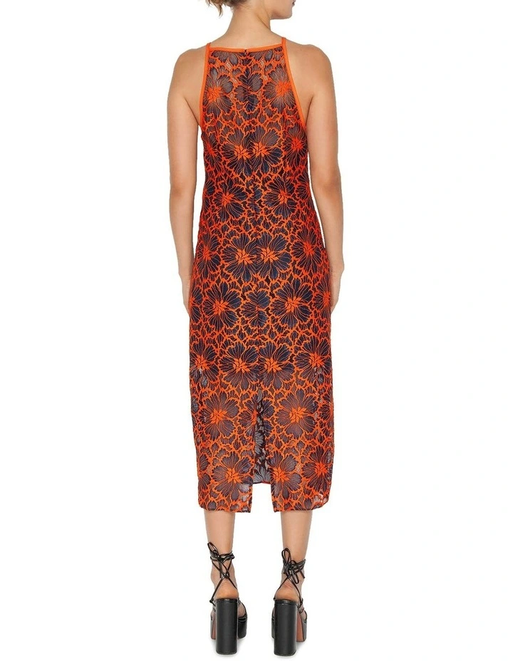 Cue Contrast Floral Lace Dress in Mandarin Orange | MYER