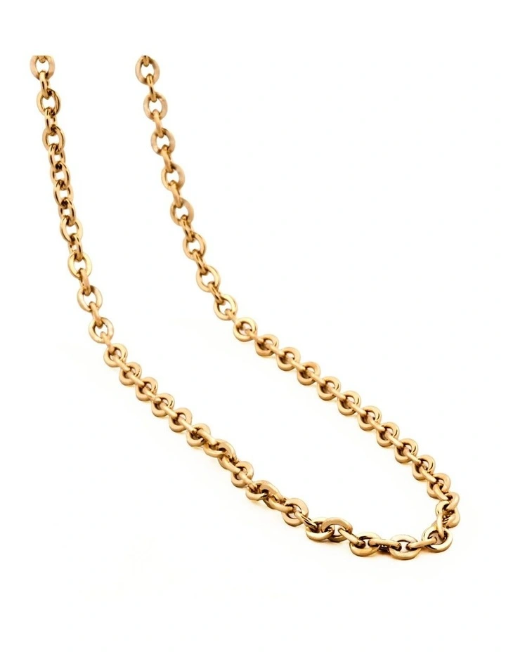 Cudworth Ion Plated Stainless Steel Chain in Gold | MYER