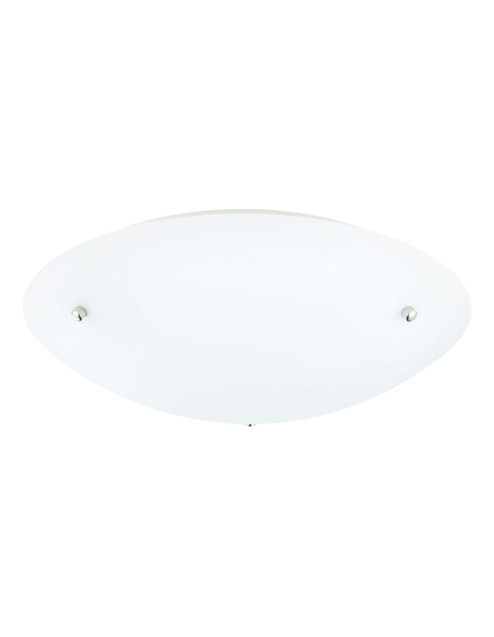 Oyster Ceiling Light Fitting - Ceiling Light Ideas