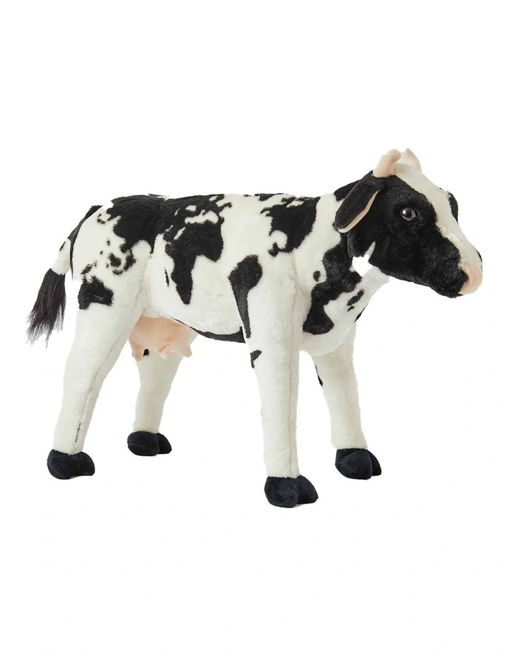 Cow Pictures For Children