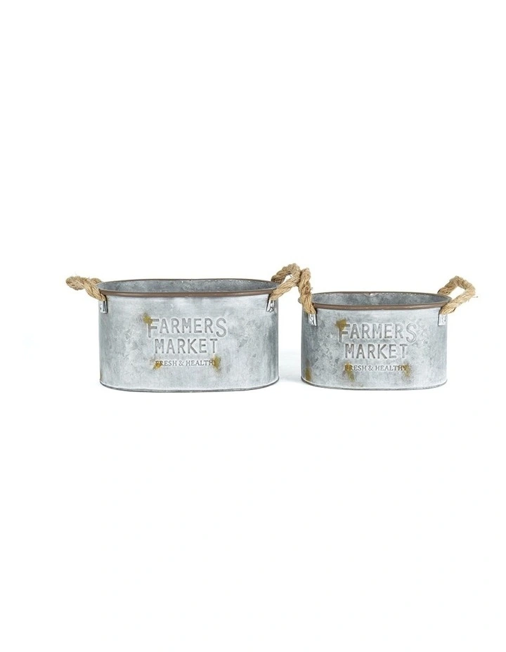 Willow & Silk Farmer's Market Oval Planters 2 Set in Rust | MYER