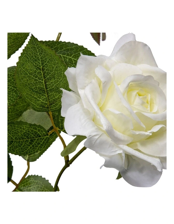 Willow & Silk Artificial Rose Bush Pot in Green/White | MYER