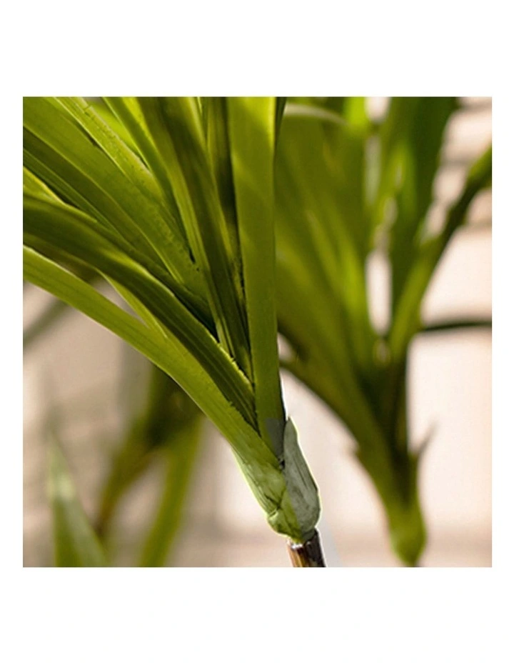 SOGA Dracaena Dragon Artificial Tree 90cm In Assorted | MYER