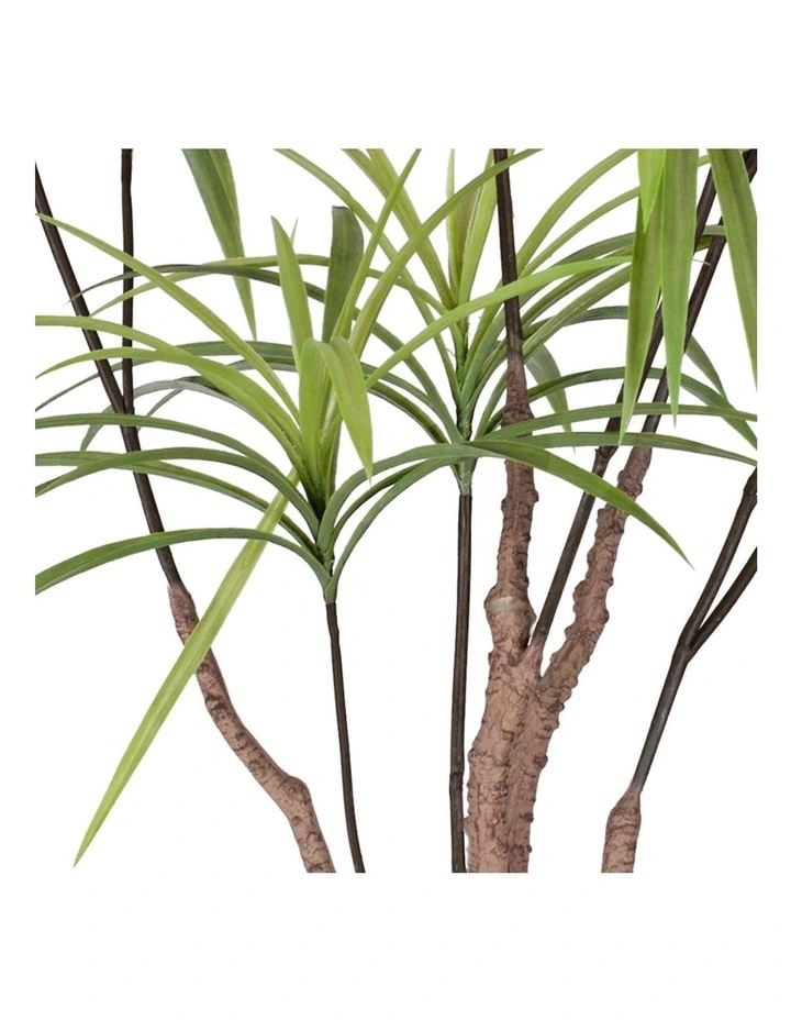 SOGA Dracaena Dragon Artificial Tree 90cm In Assorted | MYER