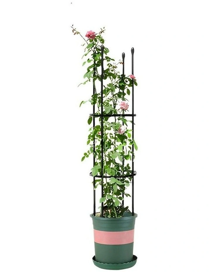 SOGA 4-Bar Plant Frame Stand Vine With Rings 103cm in Black | MYER