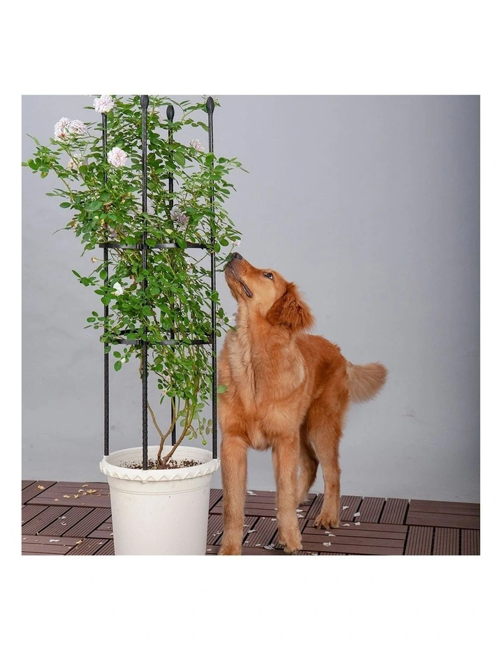 SOGA 4-Bar Plant Frame Stand Vine With Rings 103cm in Black | MYER