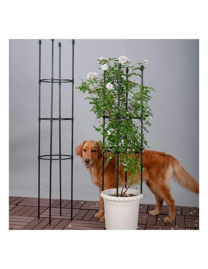 SOGA 4-Bar Plant Frame Stand Vine With Rings 103cm in Black | MYER