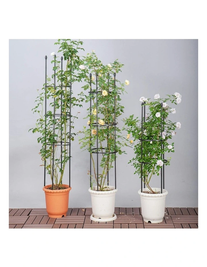 SOGA 4-Bar Plant Frame Stand Vine With Rings 103cm in Black | MYER