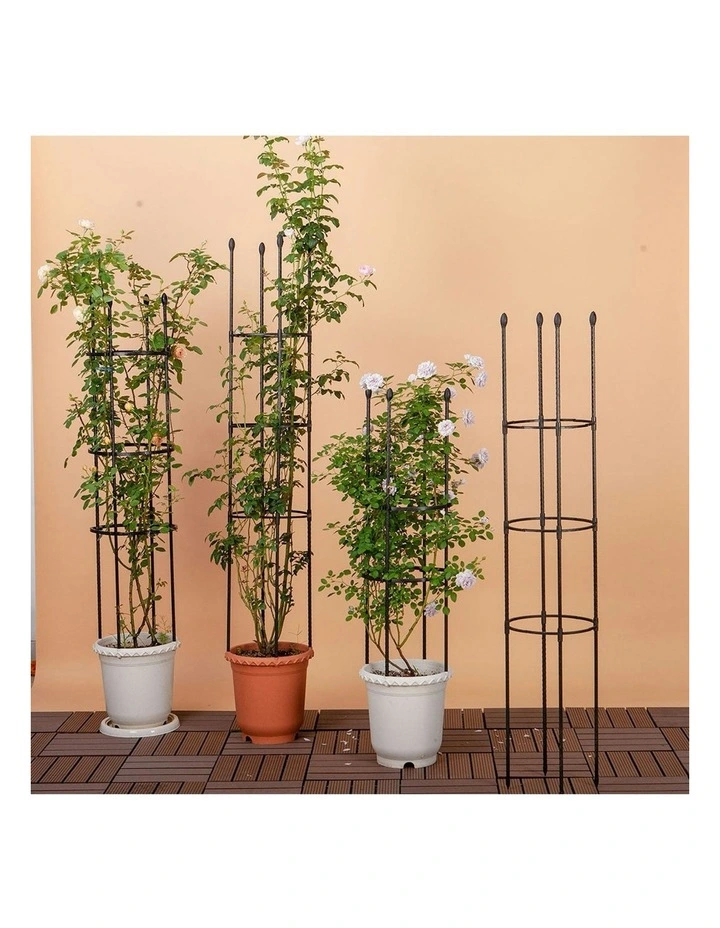 SOGA 4-Bar Plant Frame Stand Vine With Rings 103cm in Black | MYER