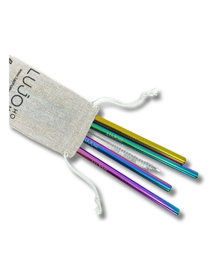 Lujo Home Smoothie Size Straight Reusable Straws in Rainbow | MYER